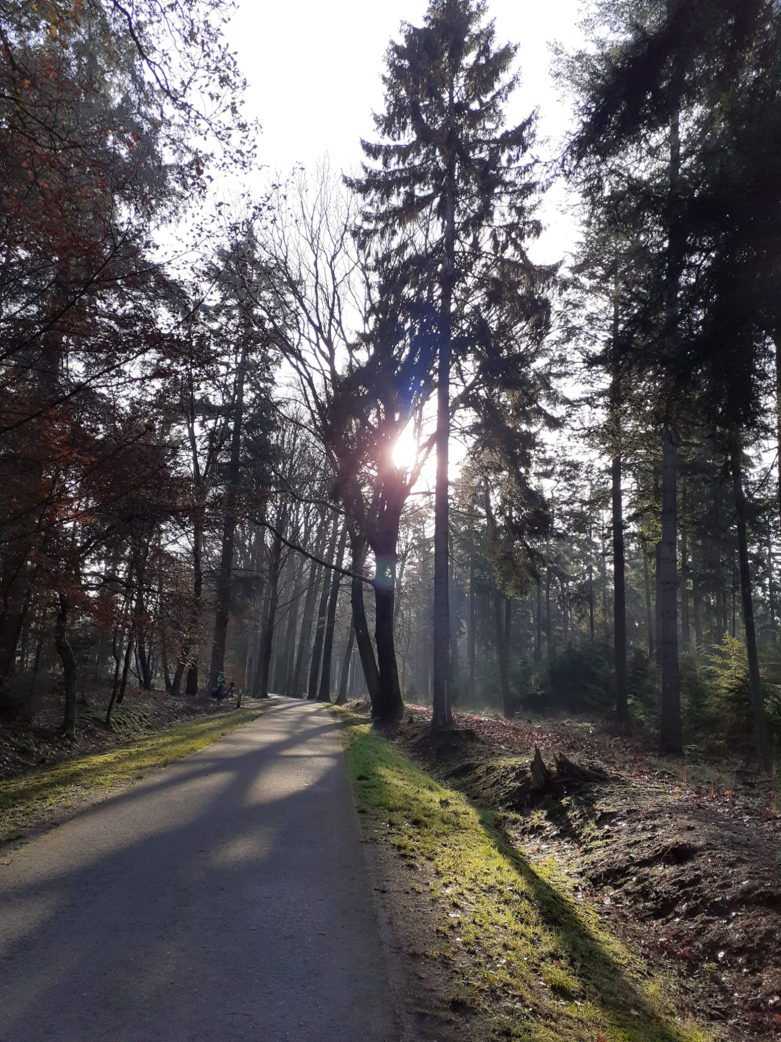 Ik geef de camera aan Xenia – Fotoclub Oldenzaal Ik geef de camera aan Xenia – Fotoclub Oldenzaal